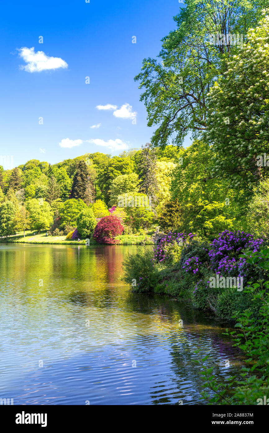 The vivid colours of rhododendron flowers surround the lake in spring ...