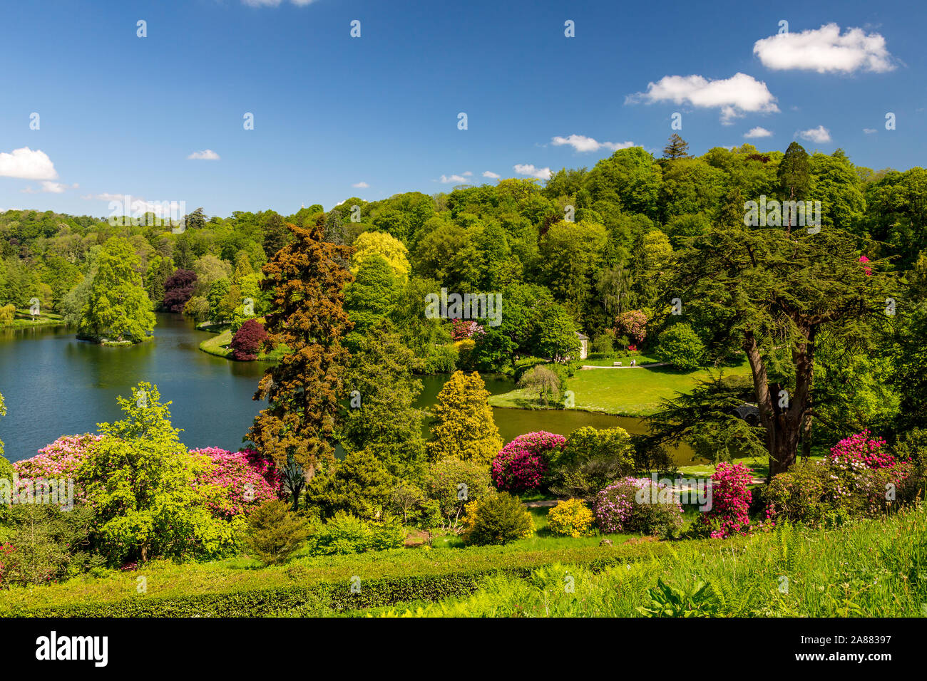 The vivid colours of rhododendron flowers surround the lake in spring ...