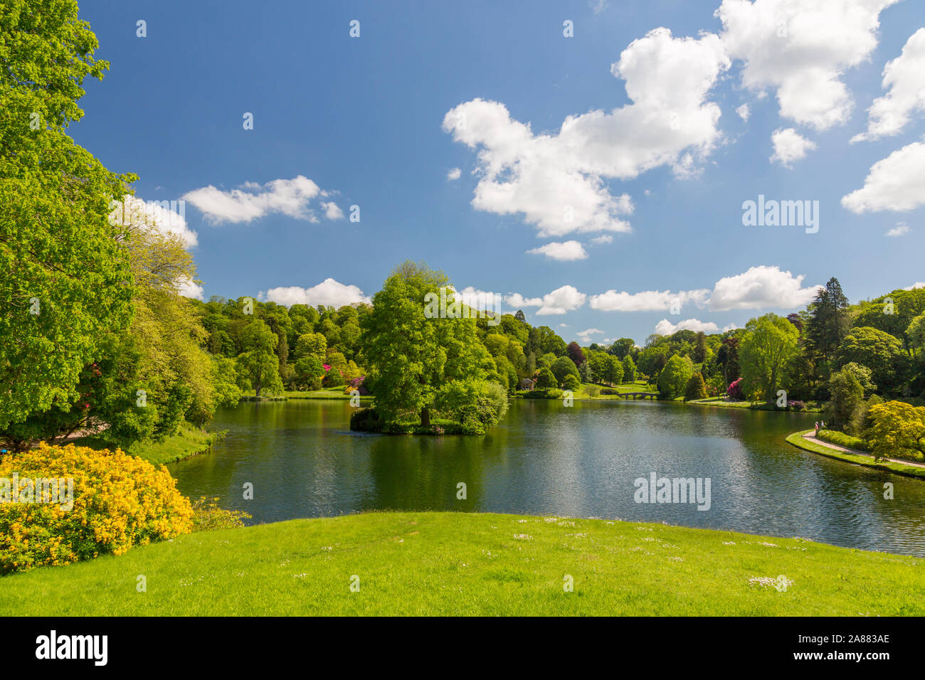 The vivid colours of rhododendron flowers surround the lake in spring ...