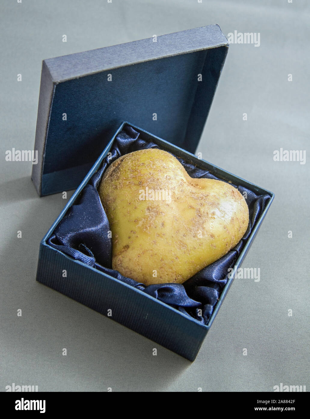 A heart shaped potato in a gift box. Love Potato Stock Photo - Alamy