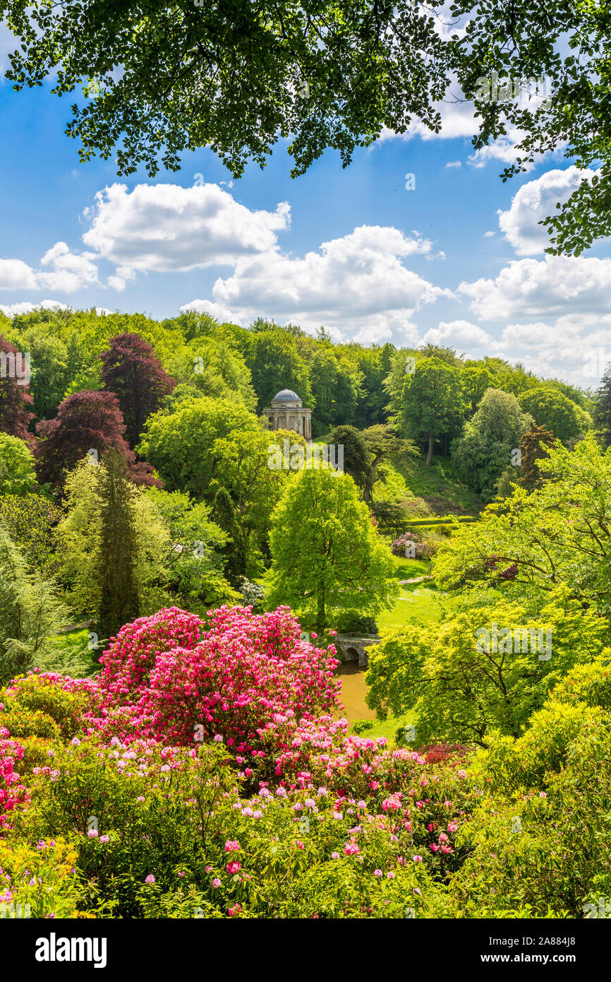 The circular Temple of Apollo looks out over colourful rhododendron ...