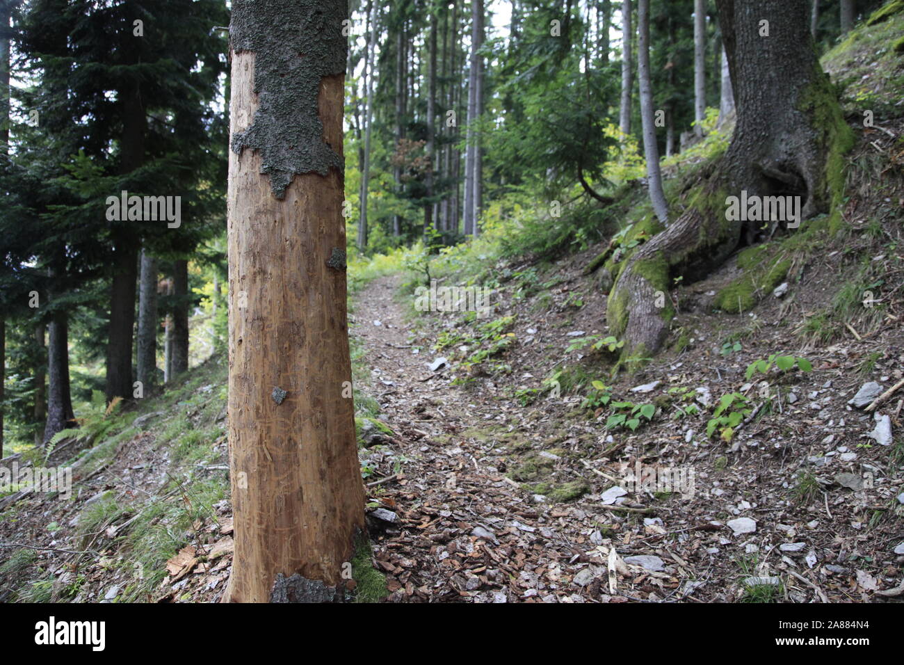 Path of the dead hi-res stock photography and images - Alamy