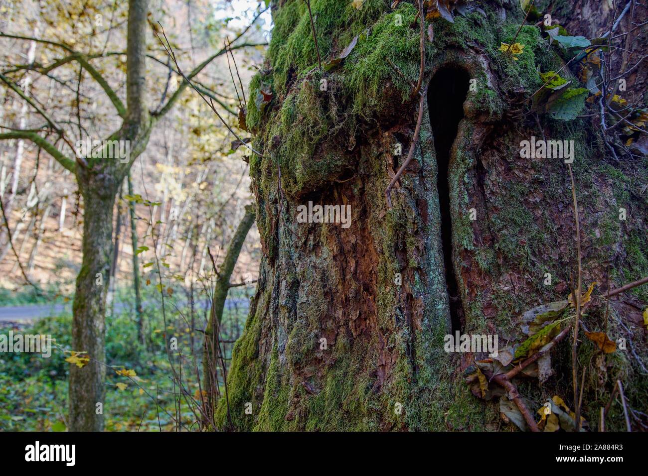 Key hole hi-res stock photography and images - Alamy
