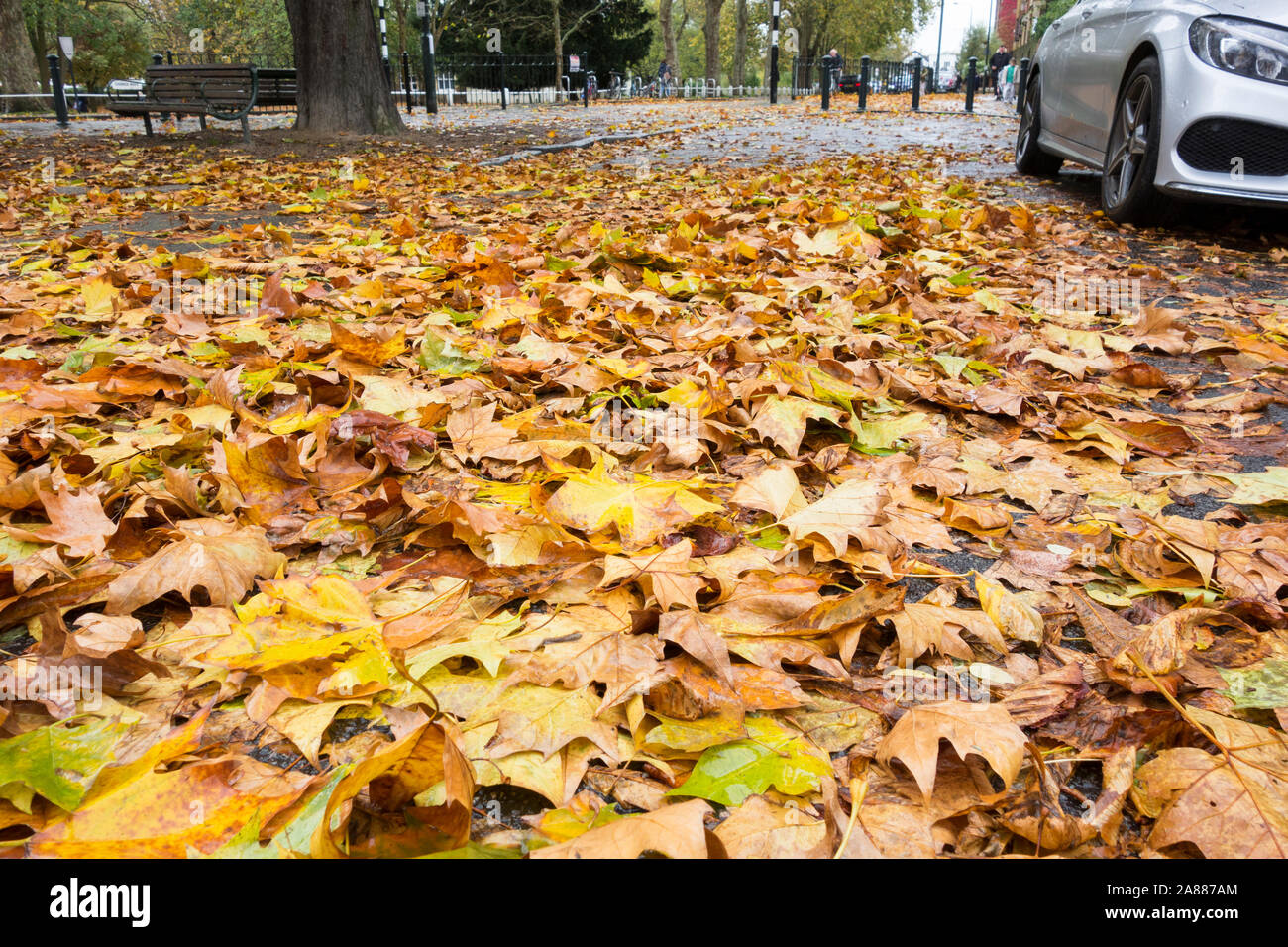 Yellowed autumn leaf hi-res stock photography and images - Alamy
