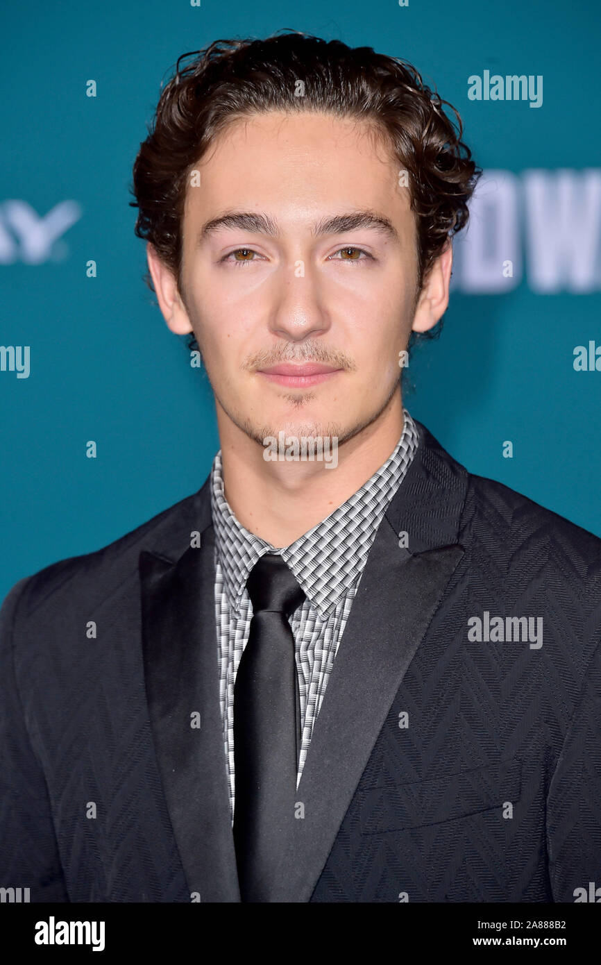 Los Angeles, USA. 05th Nov, 2019. Mikael Conde at the world premiere of ...