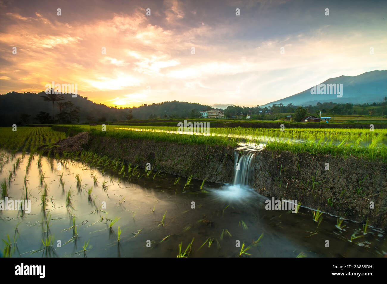 the natural beauty of Sumatra and the beautiful expanse of rice fields ...