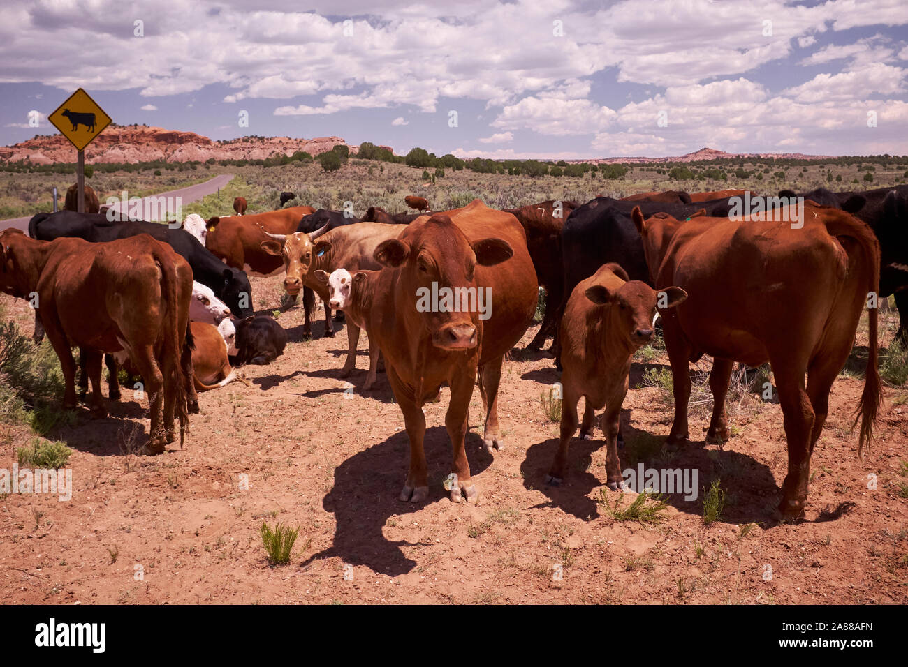 Utah holiday hi-res stock photography and images - Alamy