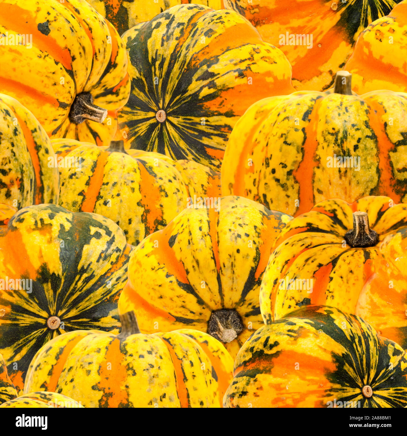 Dar green hi-res stock photography and images - Alamy