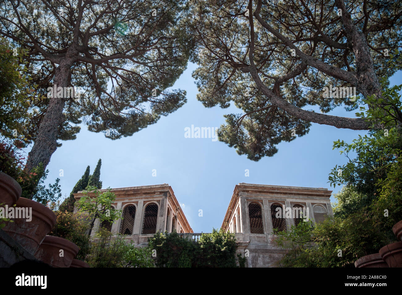 Roman Villa Ancient Trees Villa Adriana Rome Tivoli Italy Large