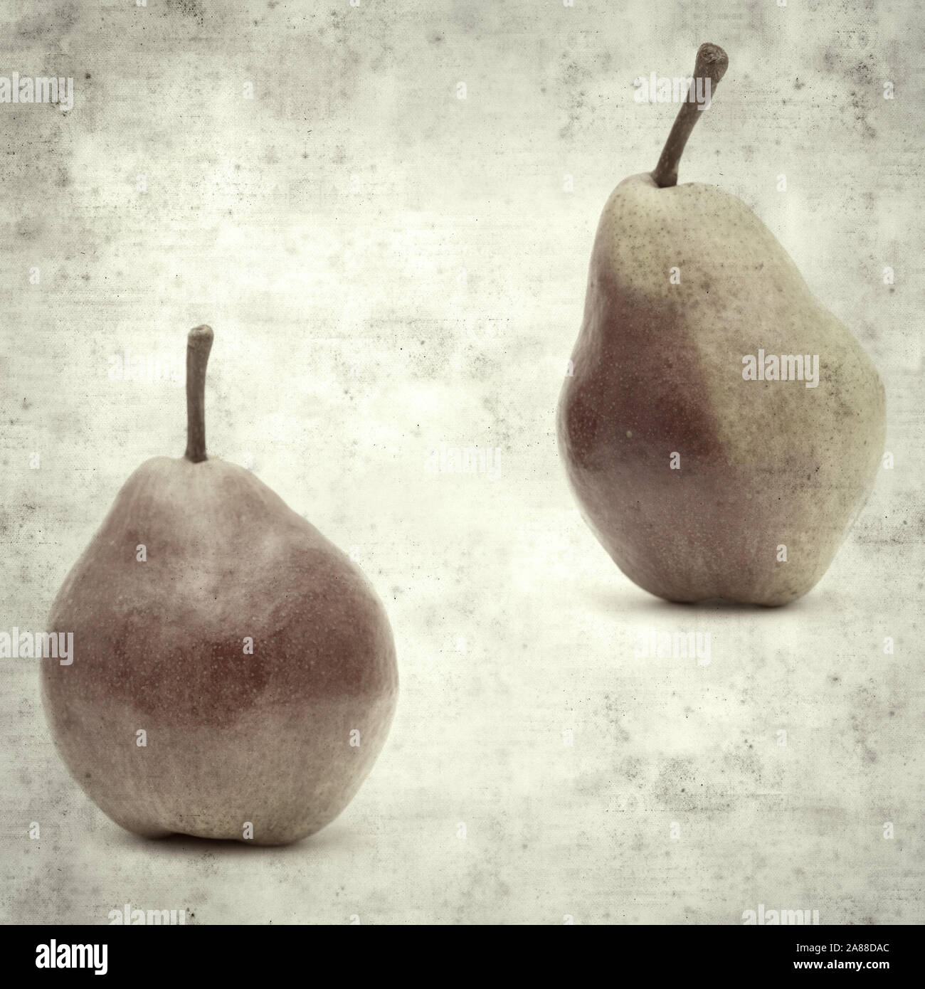 textured stylish old paper background, square, with red pear fruit ...