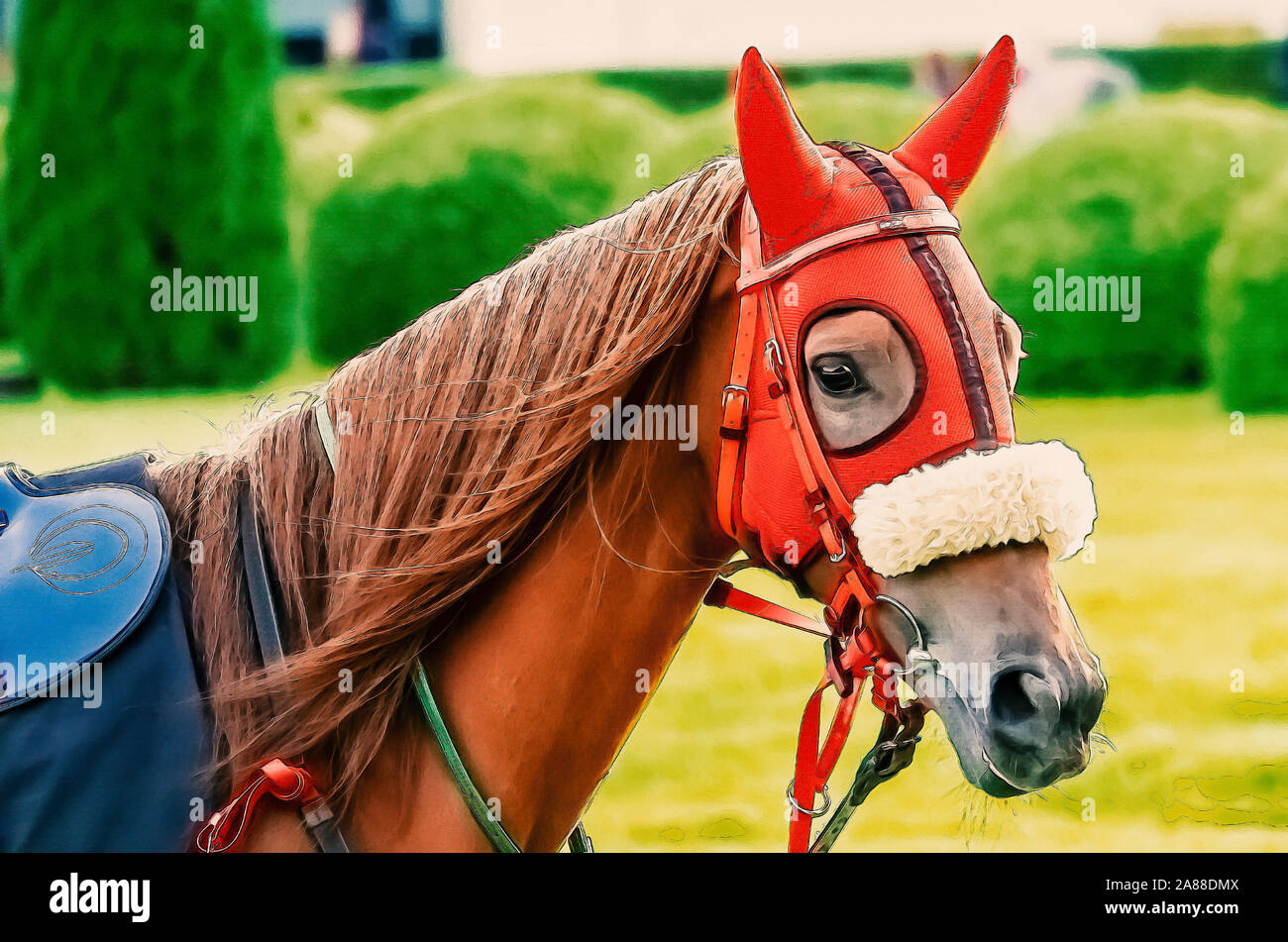 Horse head race riding sport jockeys competition horses running ...