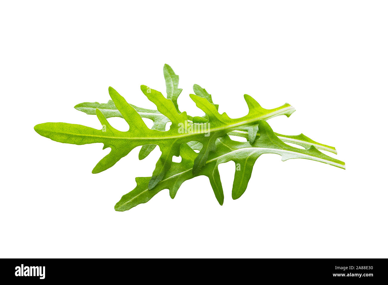 Arugula leaves isolated on white background Stock Photo - Alamy