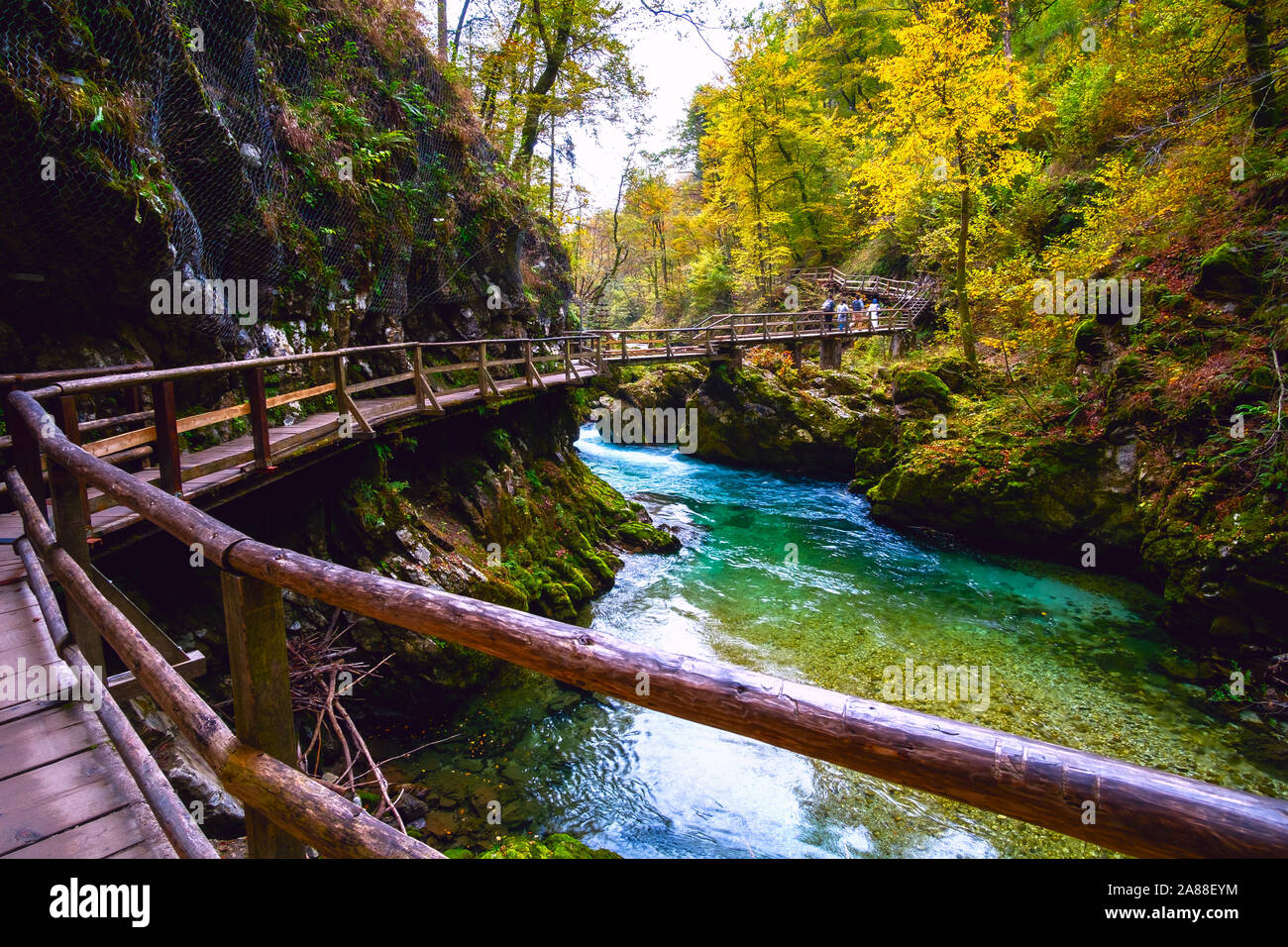 Beautiful famous Vintgar Gorge near Bled, Slovenia Stock Photo - Alamy