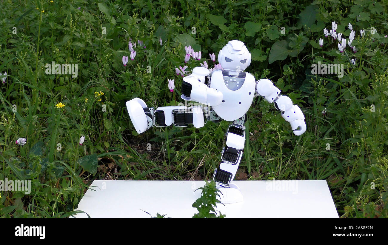 An android humanoid robot practices Kung Fu Karate in the park. Robot ...