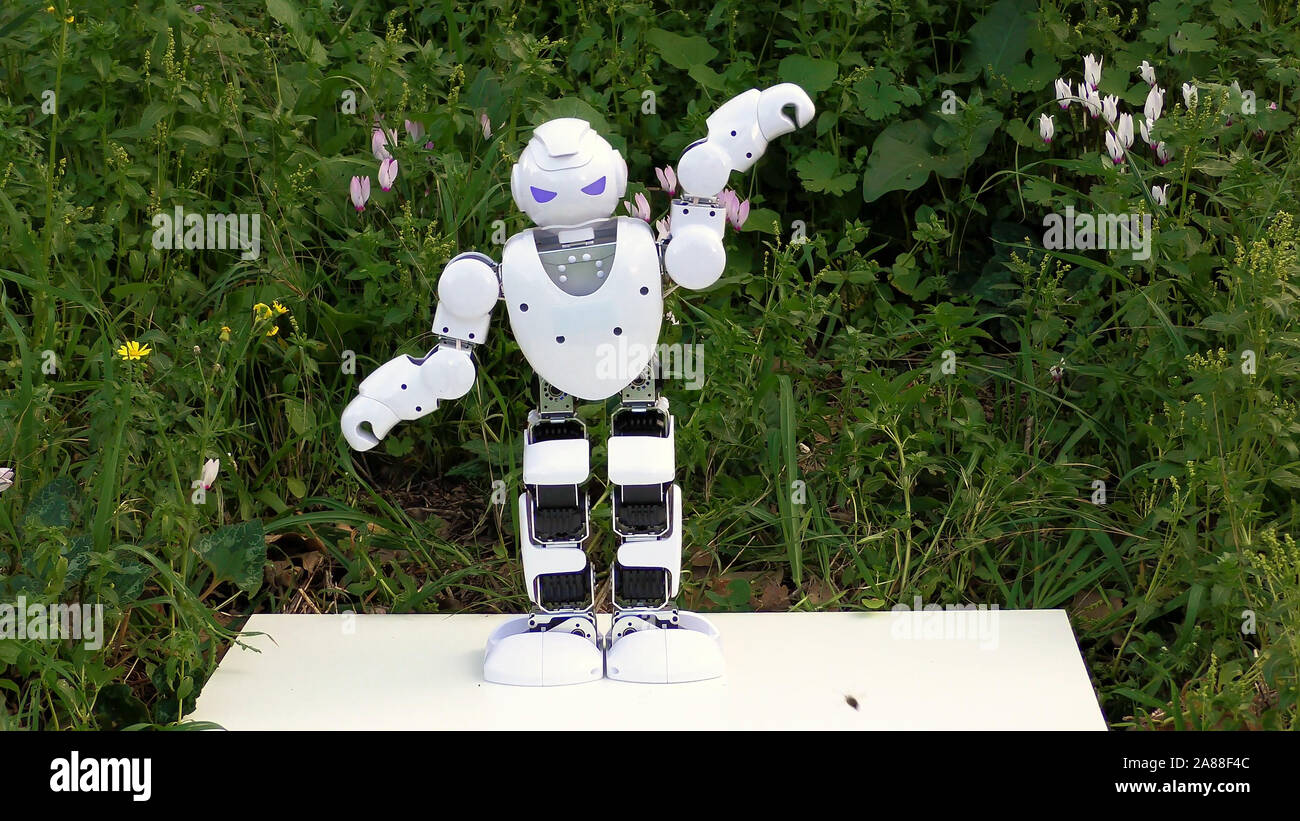 An android humanoid robot simulates his actions when he meets his ...