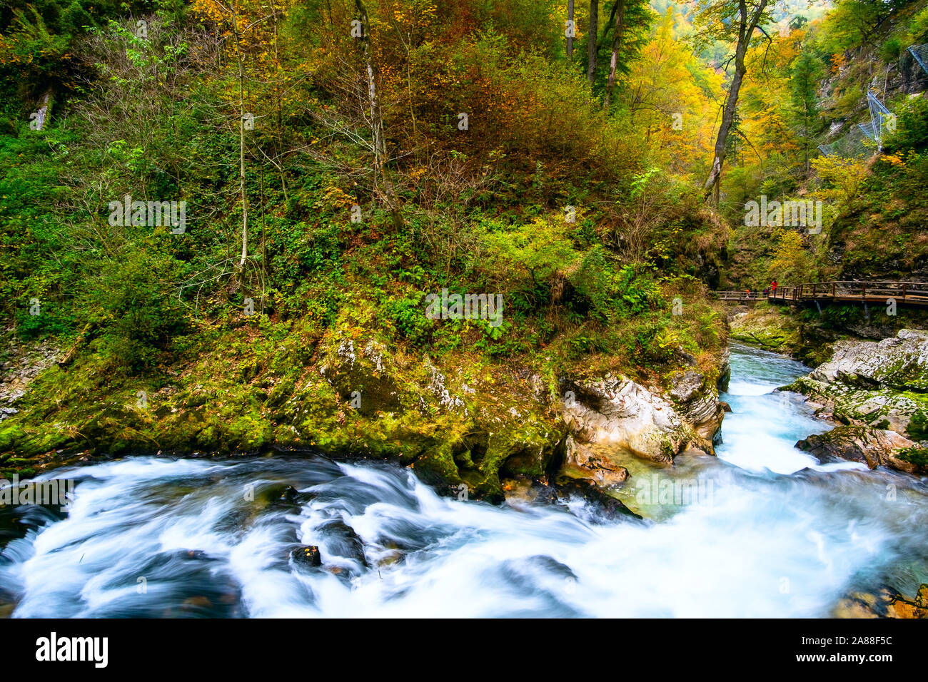 Beautiful famous Vintgar Gorge near Bled, Slovenia Stock Photo - Alamy