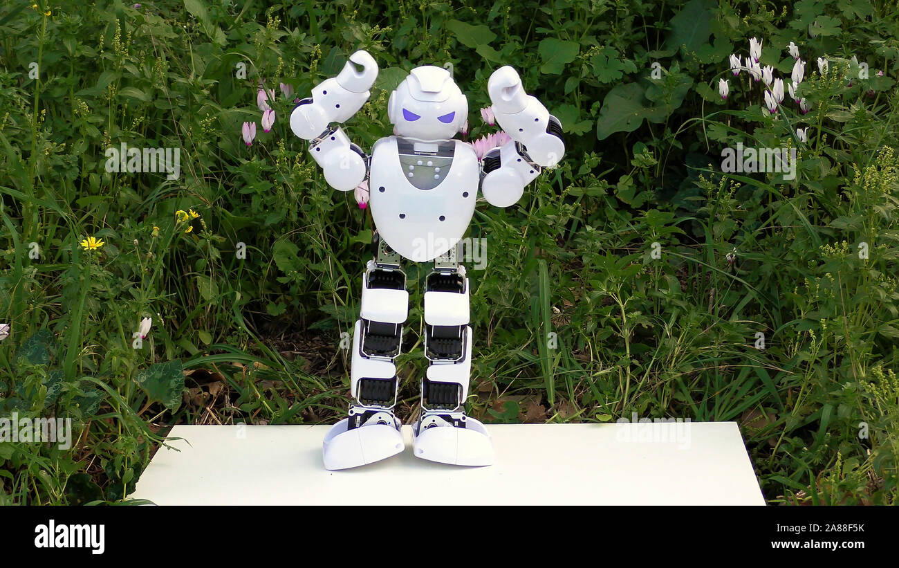 An android humanoid robot simulates his actions when he meets his ...