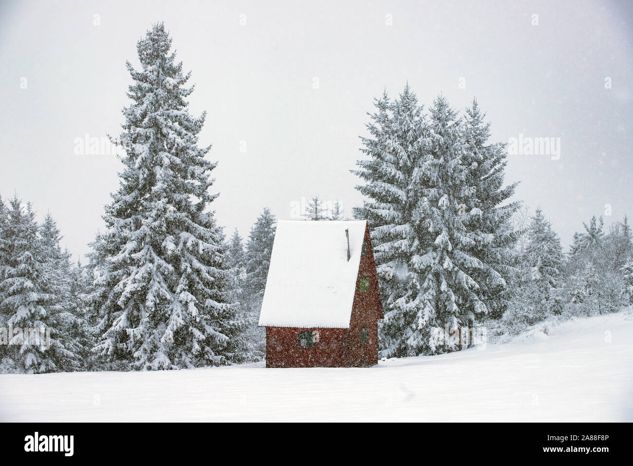 Small wooden hut in winter forest in heavy snowfall Stock Photo - Alamy