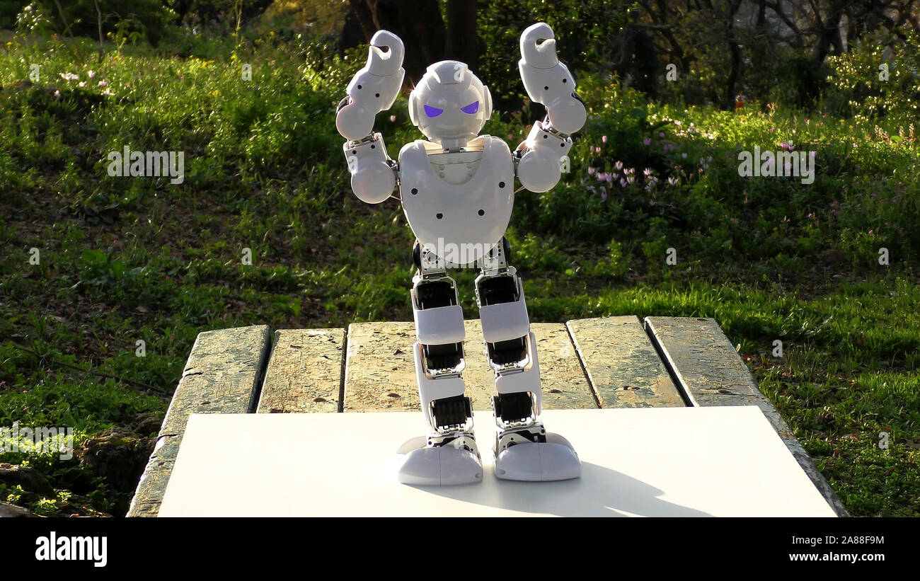 An android humanoid robot dances a popular style dance. Robot likes to ...