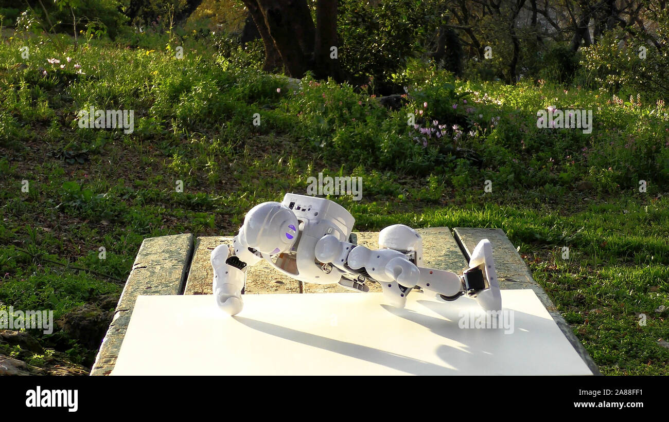 An android humanoid robot practices push ups upside down in the park ...