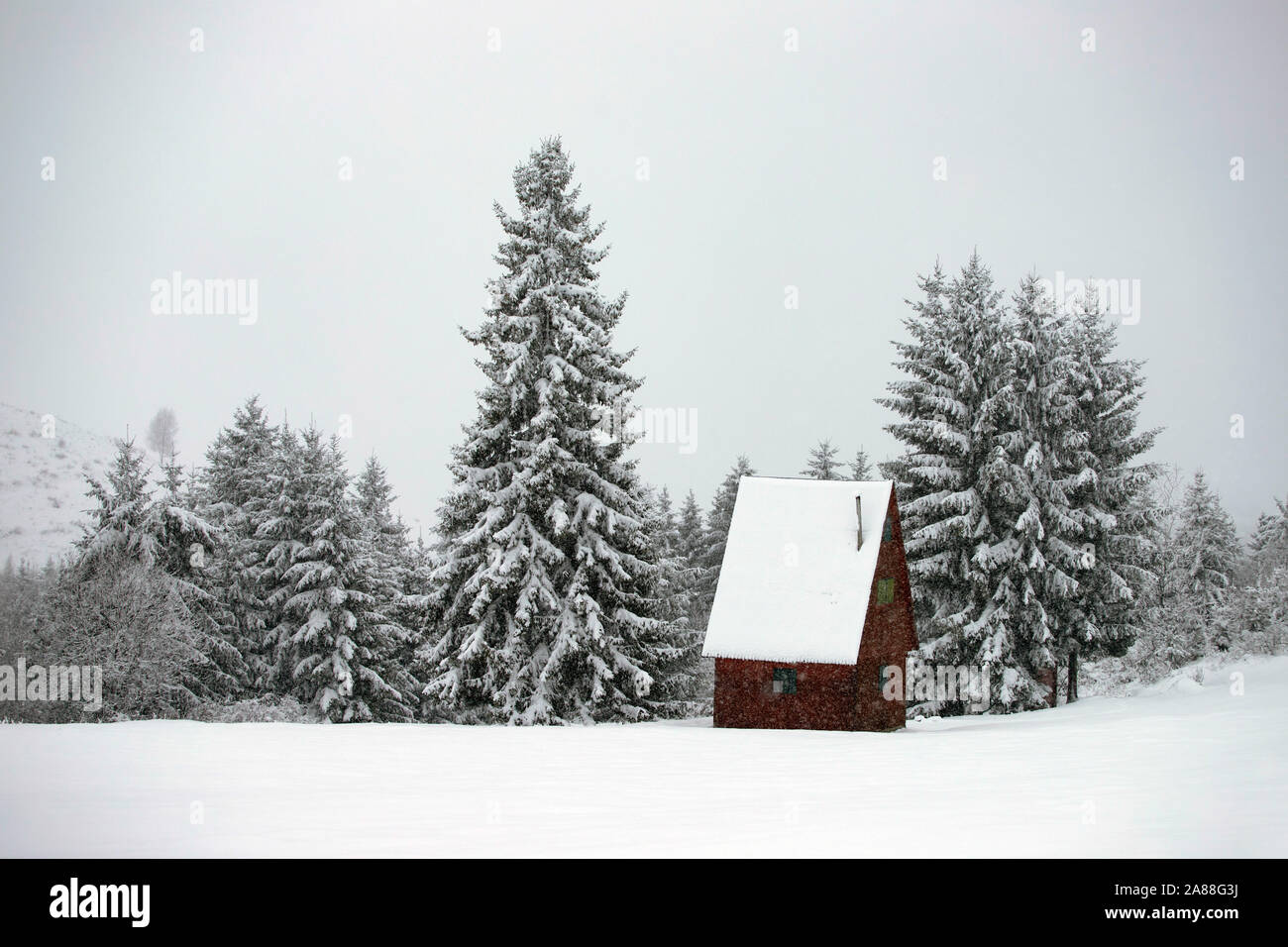 Small wooden hut in winter forest in heavy snowfall Stock Photo - Alamy