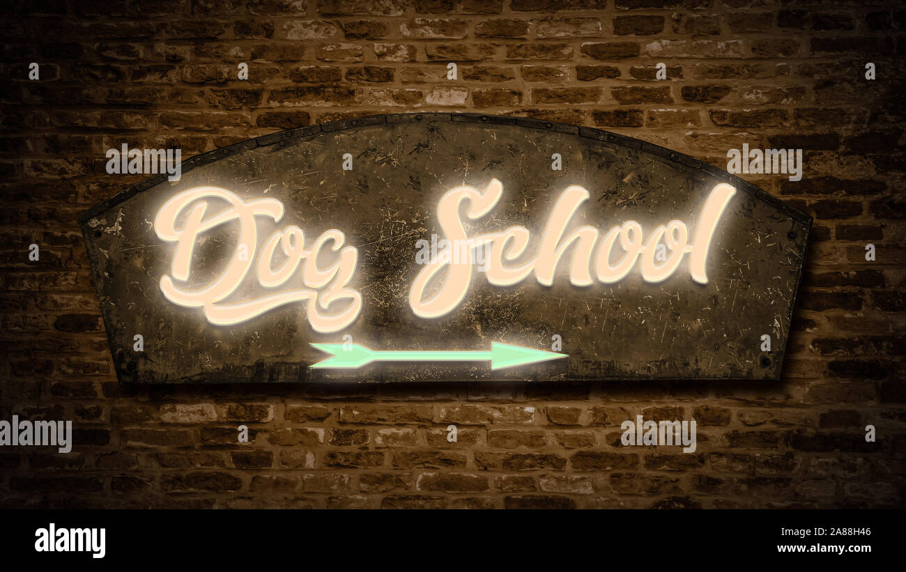 Street Sign the Direction Way to Dog School Stock Photo - Alamy