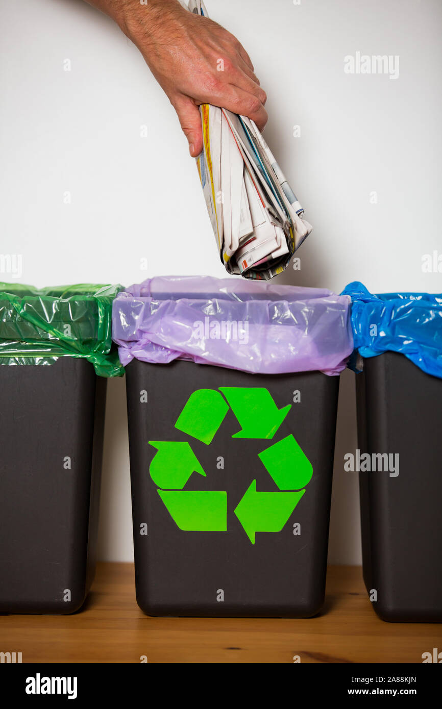 Hand putting old newspapers into recycling bin. Person in a house ...