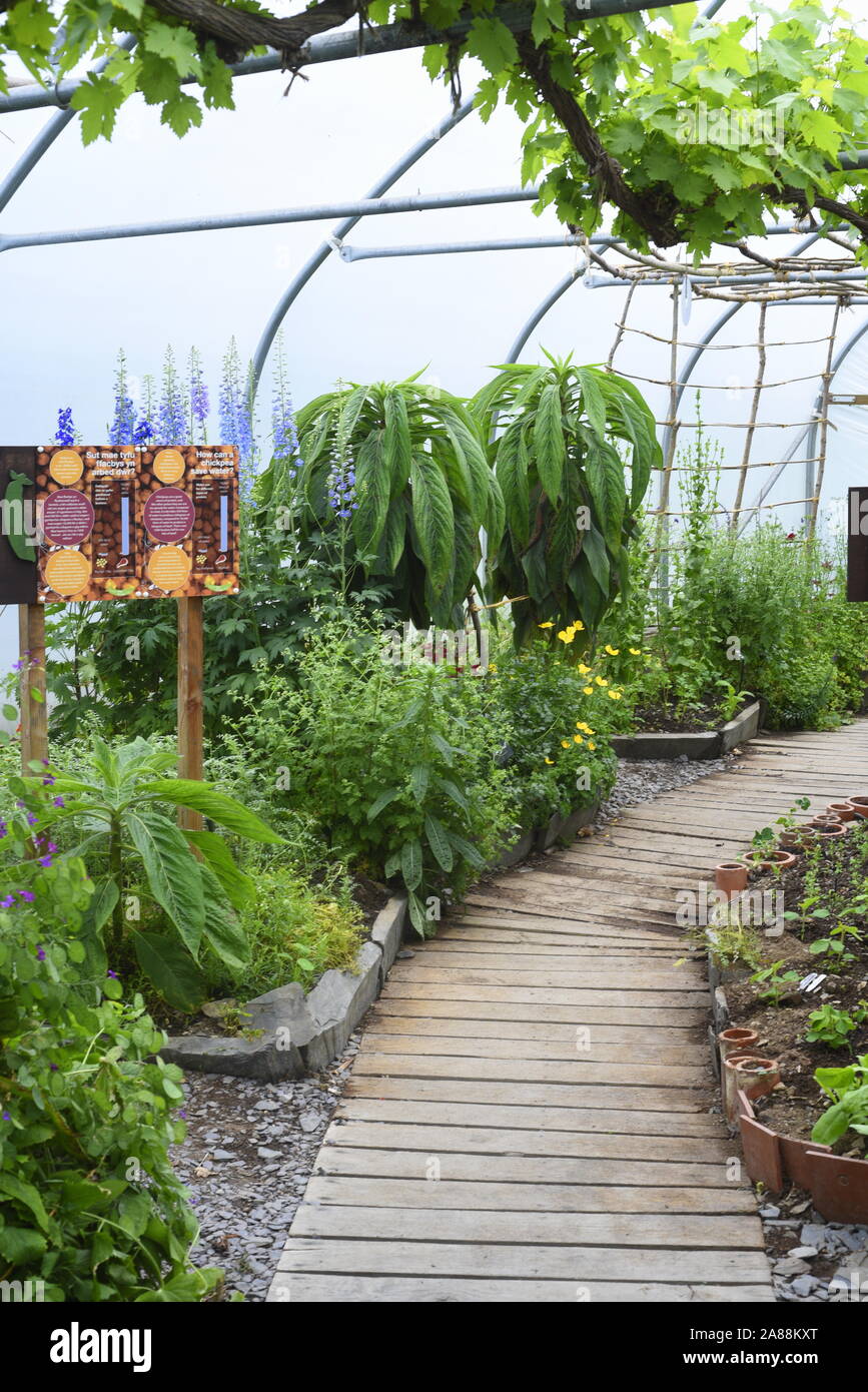 Polly Tunnel Stock Photos & Polly Tunnel Stock Images - Alamy