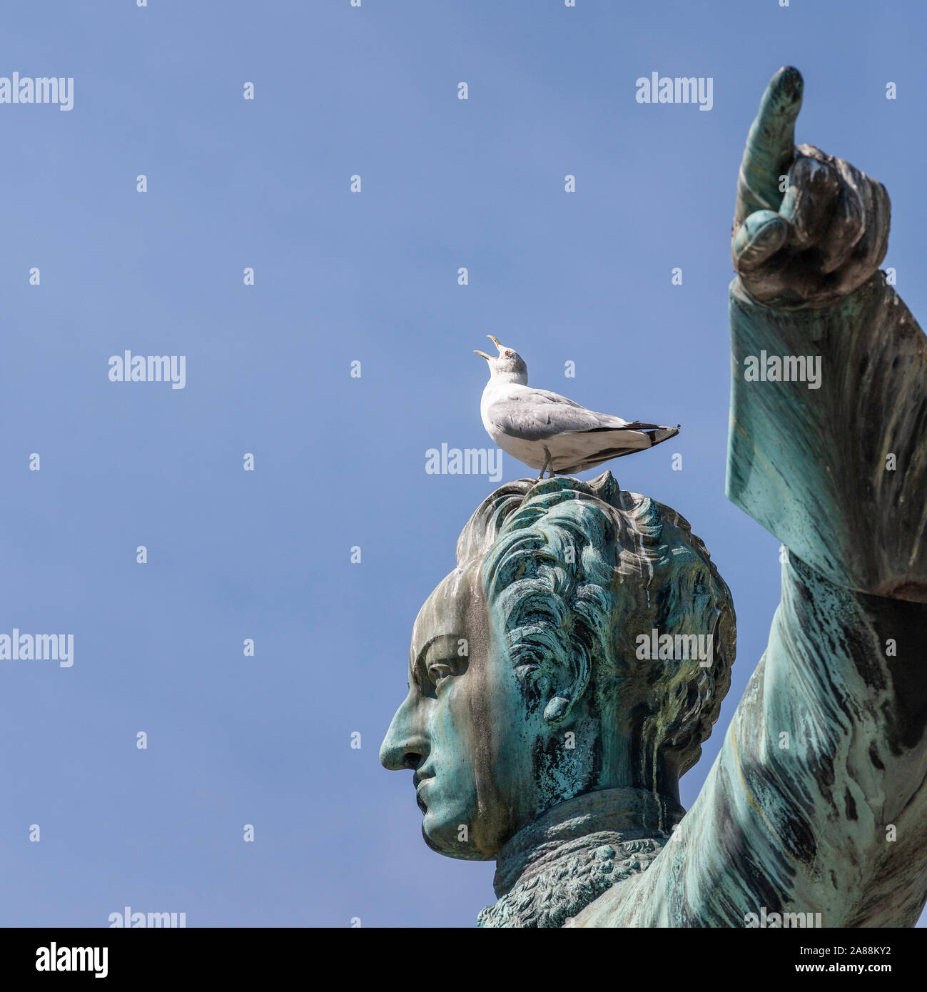 Shouting seagull with wide open beak on top of the head of the Charles ...