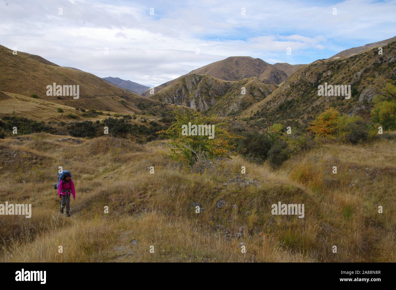 Te Araroa Trail. Motatapu Alpine Track. South Island. New Zealand Stock ...