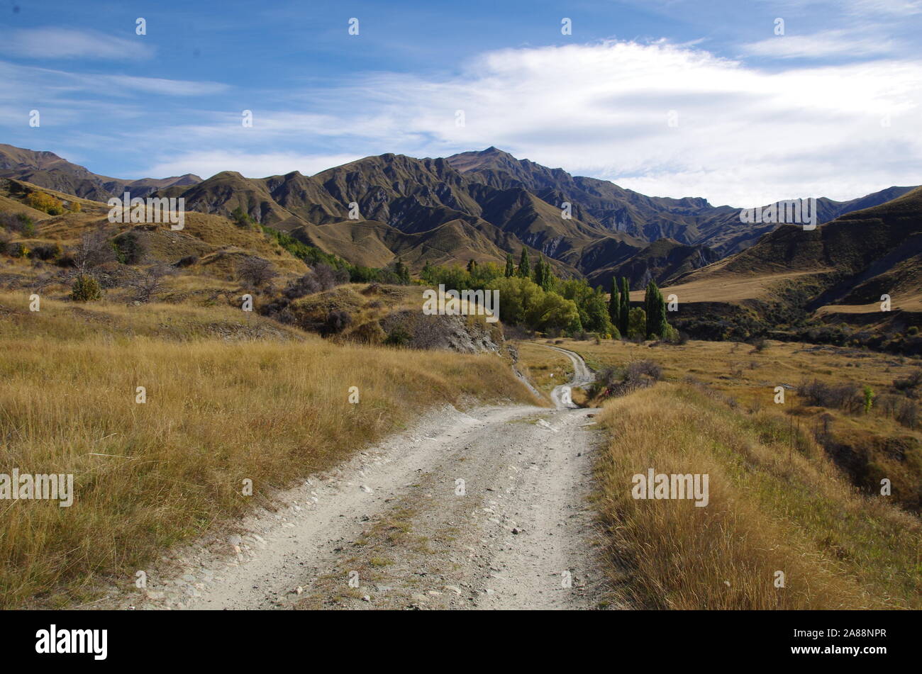 Te Araroa Trail. Motatapu Alpine Track. South Island. New Zealand Stock ...