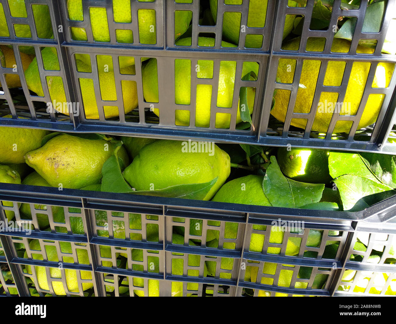 Field man boxes hi-res stock photography and images - Alamy