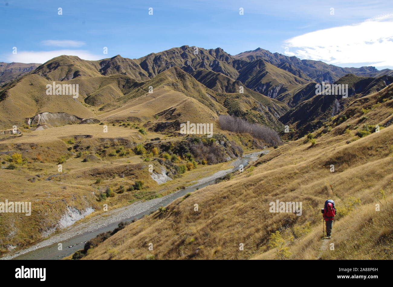 Thai female backpacker Te Araroa Trail. Motatapu Alpine Track. South ...