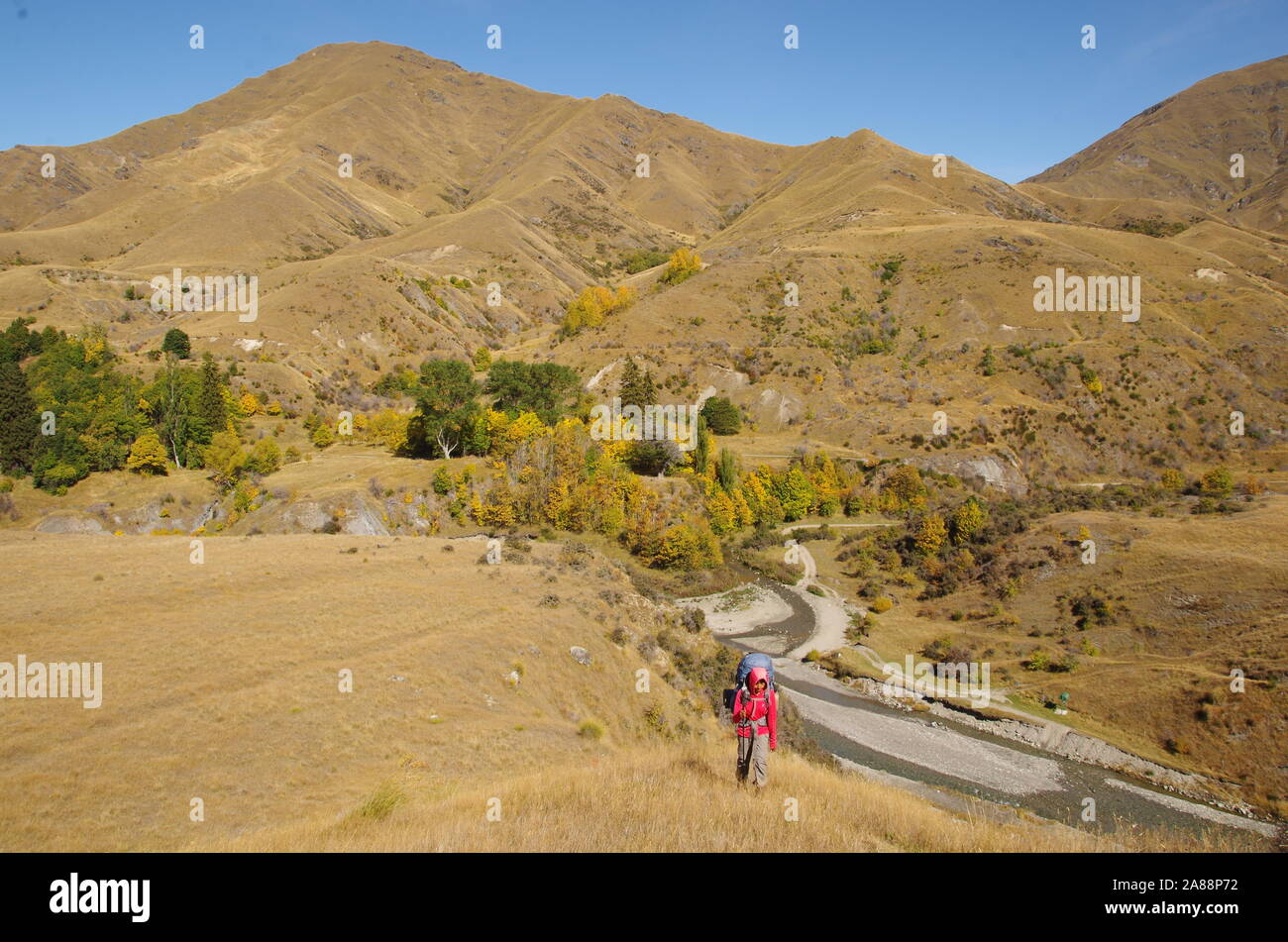 Thai female backpacker Te Araroa Trail. Motatapu Alpine Track. South ...