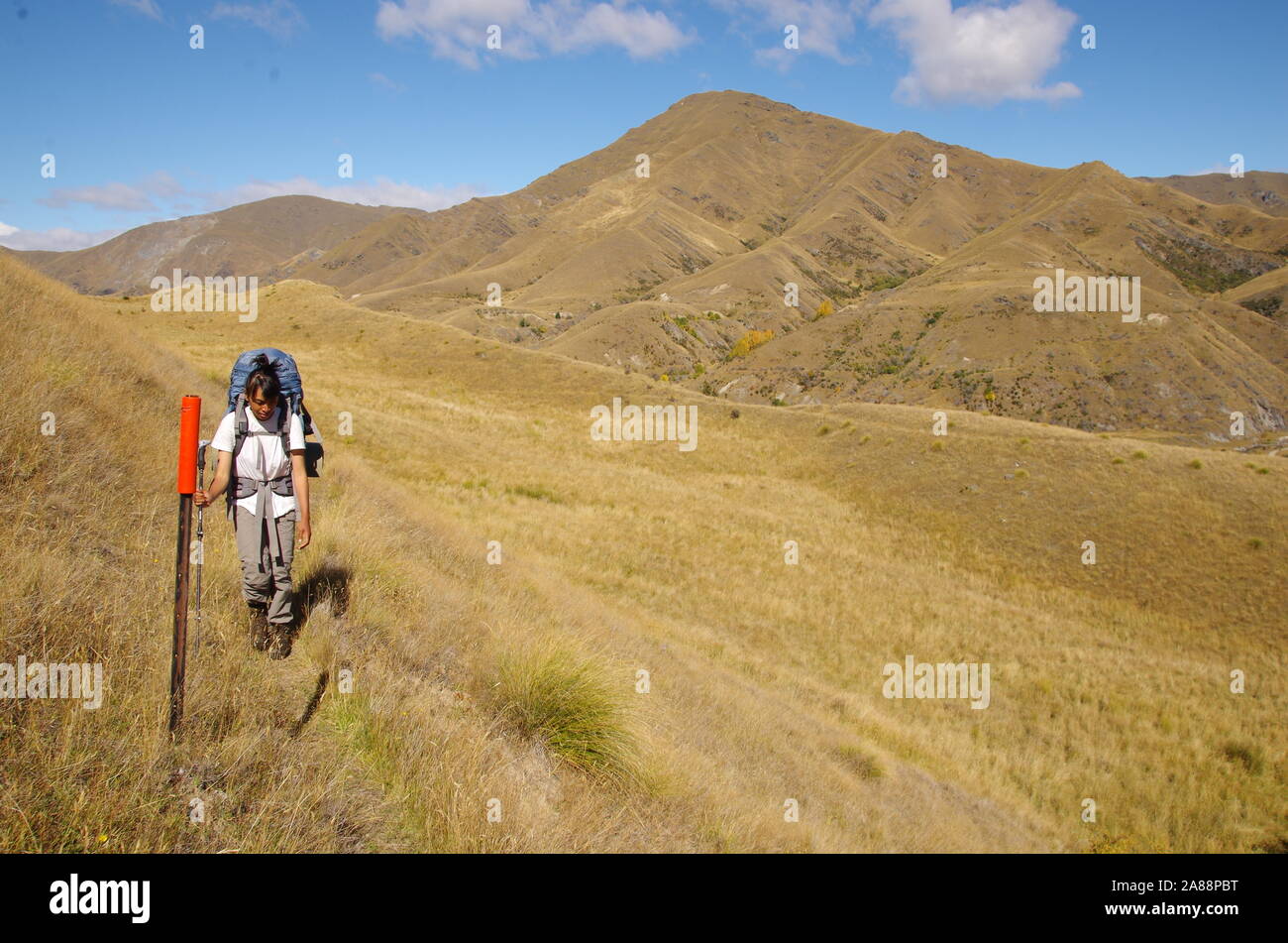 Thai female backpacker Te Araroa Trail. Motatapu Alpine Track. South ...