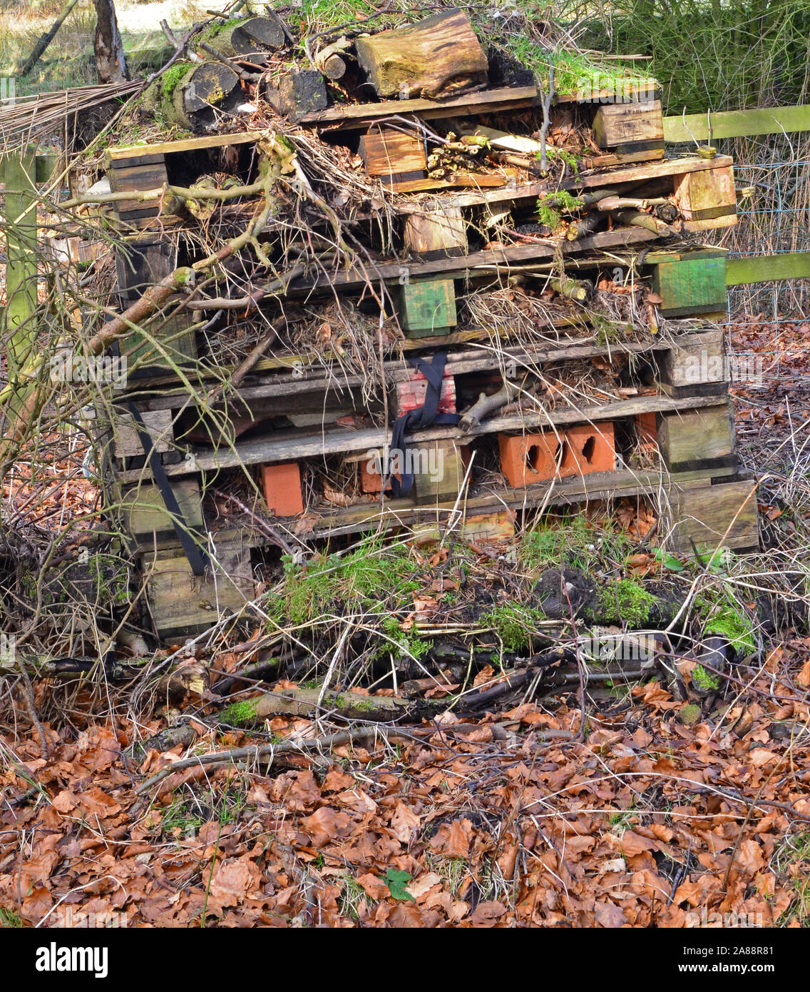 Box for insects to hide in hi-res stock photography and images - Alamy