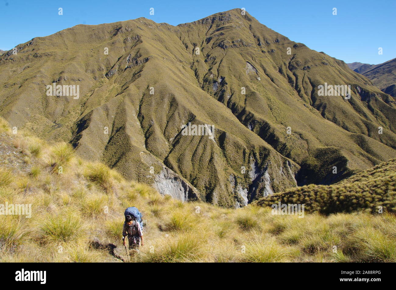 Thai female backpacker Te Araroa Trail. Motatapu Alpine Track. South ...