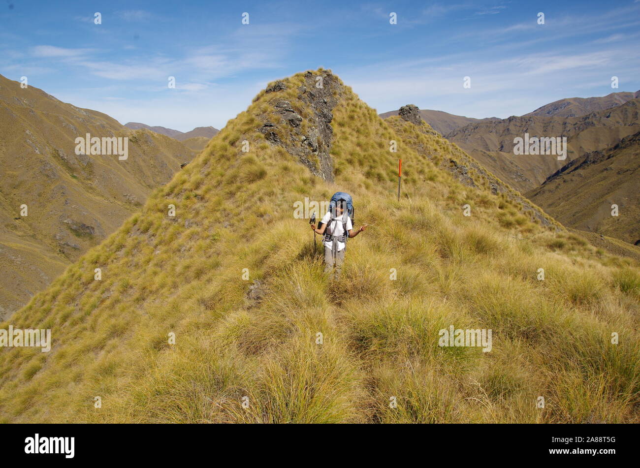 Thai female backpacker Te Araroa Trail. Motatapu Alpine Track. South ...