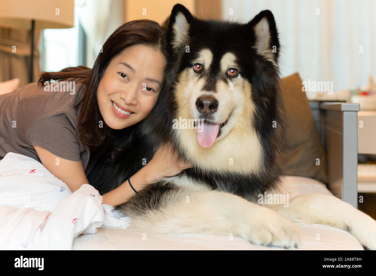 Beautiful asian female dog hi-res stock photography and images - Alamy
