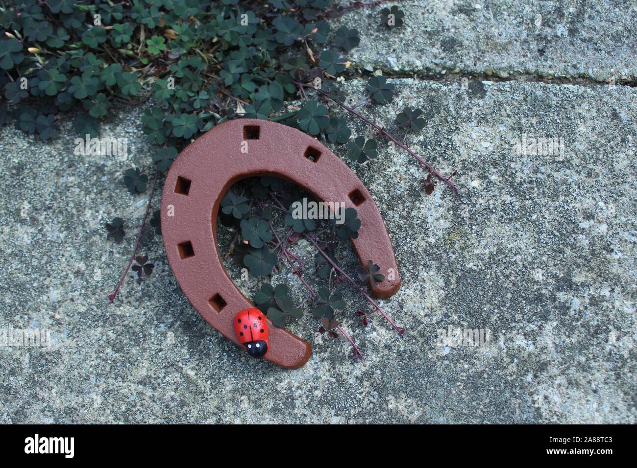 The picture shows good luck wishes Stock Photo - Alamy