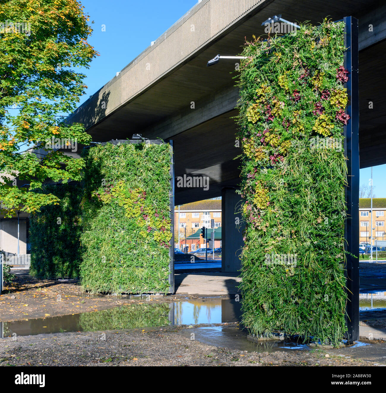 Vertical gardens - green walls - to cut pollution at a busy roundabout ...