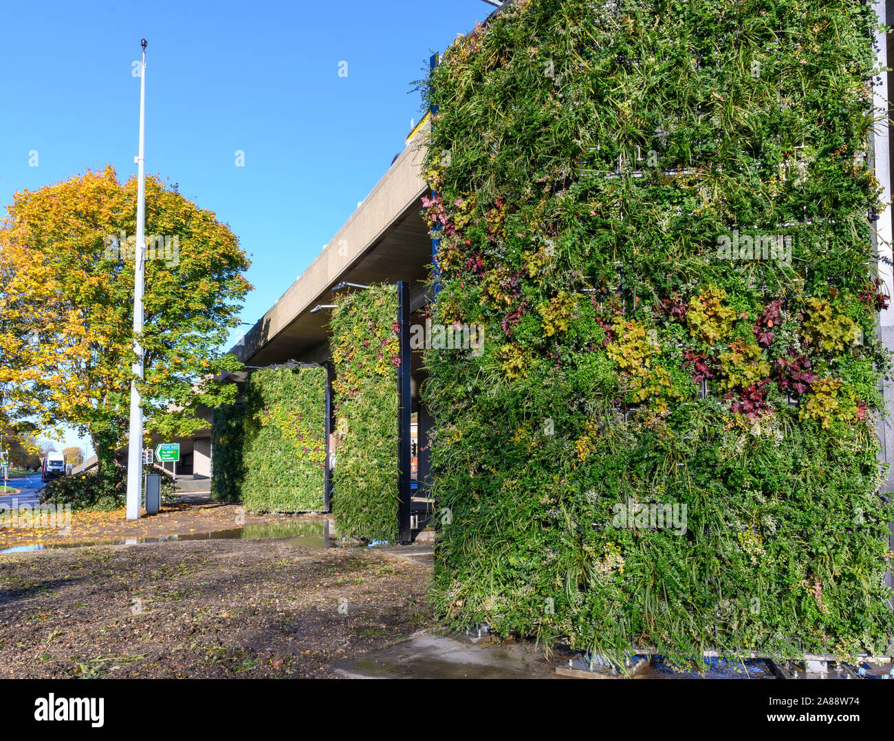 Vertical gardens - green walls - to cut pollution at a busy roundabout ...