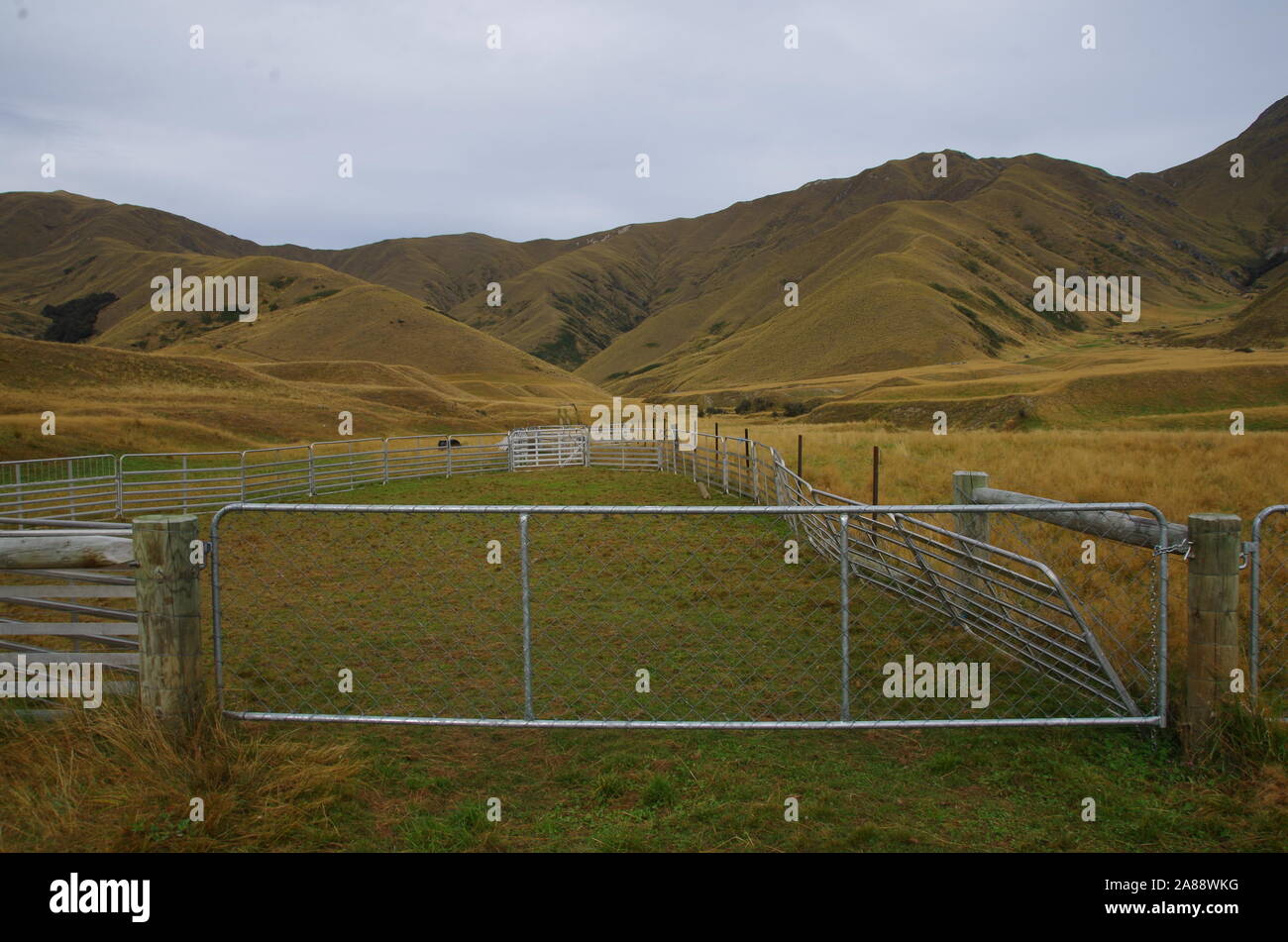 Te Araroa Trail. Motatapu Alpine Track. South Island. New Zealand Stock ...