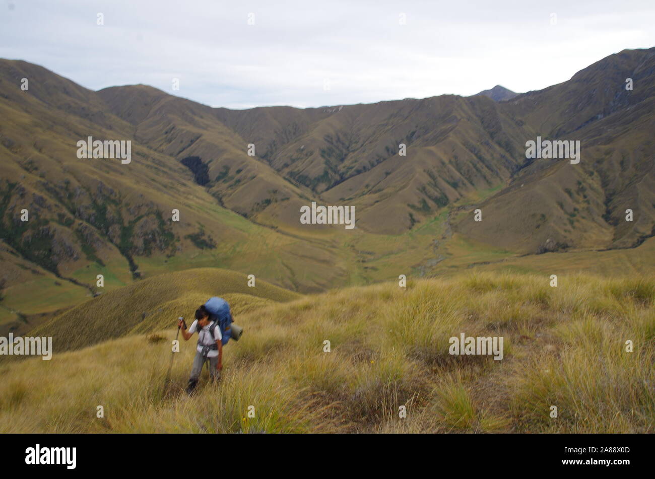 Thai female backpacker Te Araroa Trail. Motatapu Alpine Track. South ...