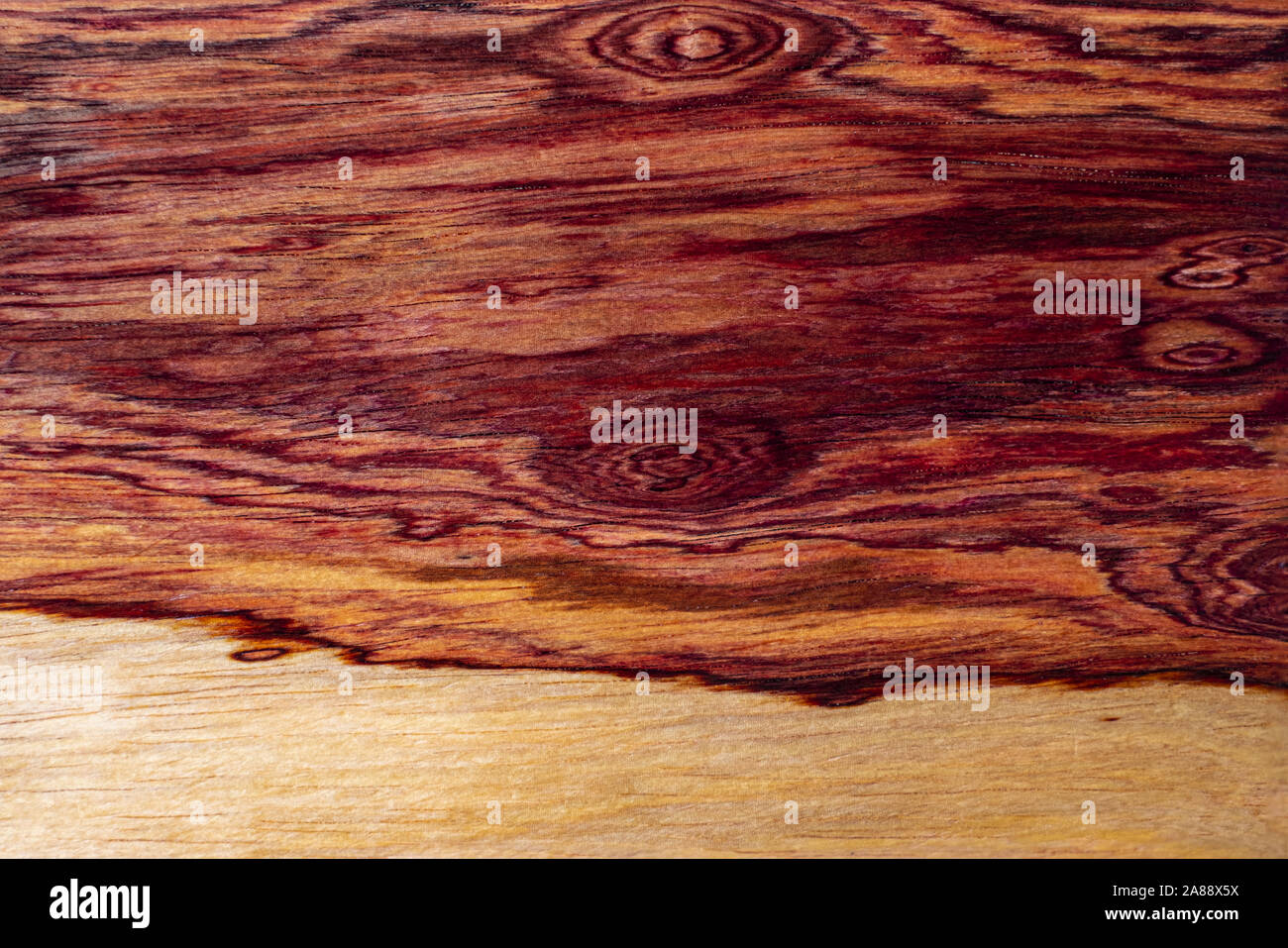 Nature Burmese rosewood exotic wood background texture Stock Photo - Alamy