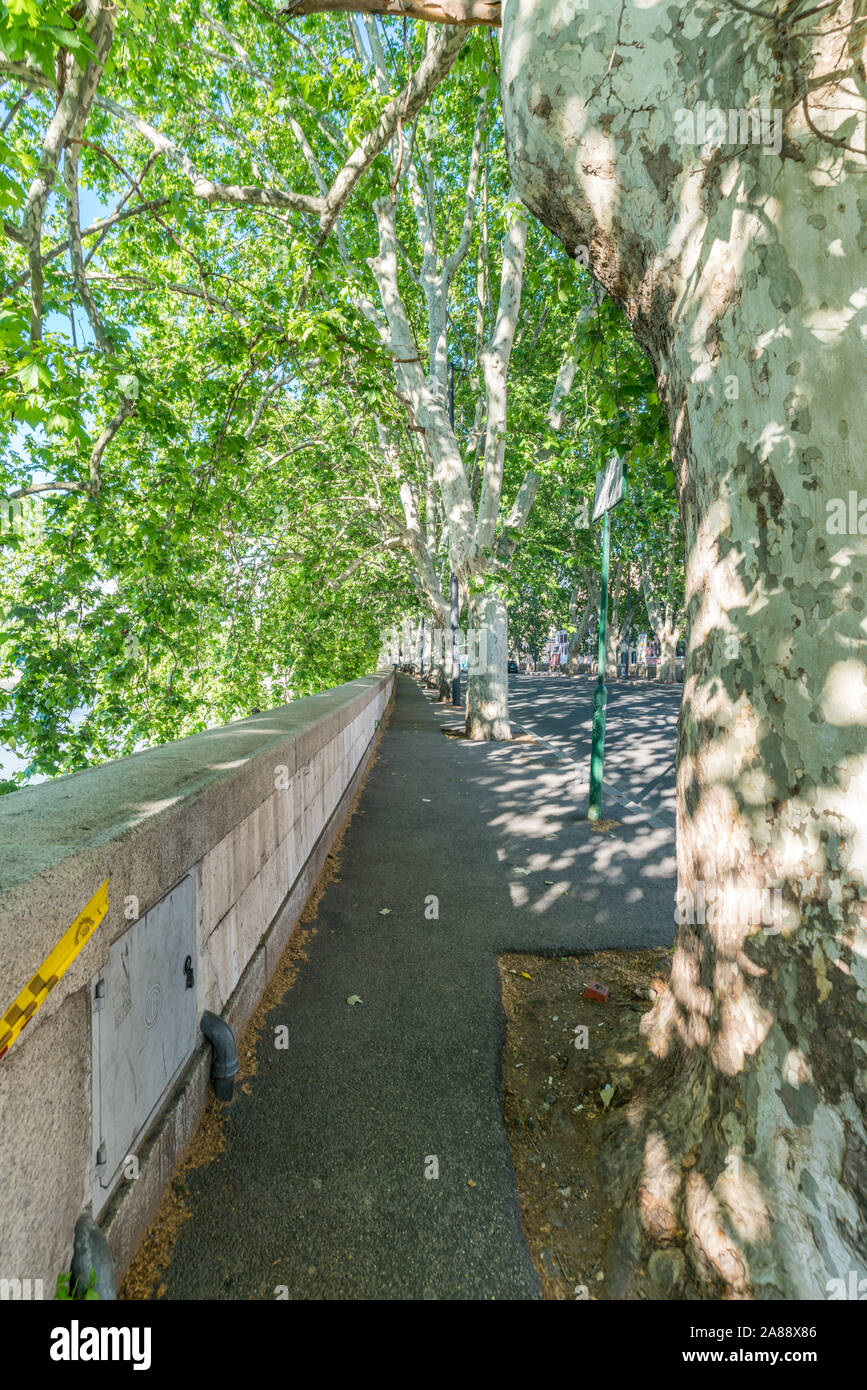 Two paths fork forest hi-res stock photography and images - Alamy