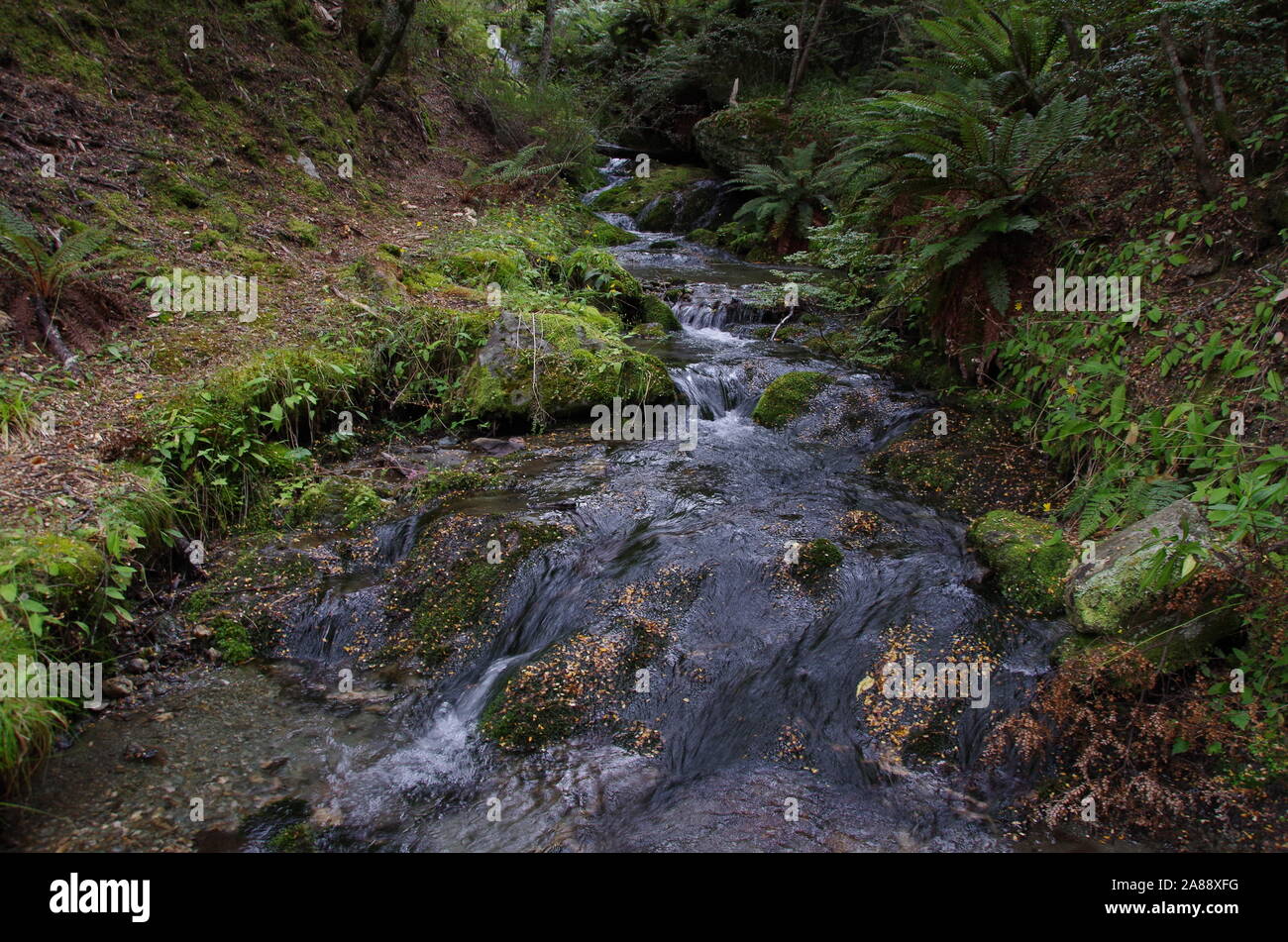 Motatapu alpine track hi-res stock photography and images - Alamy