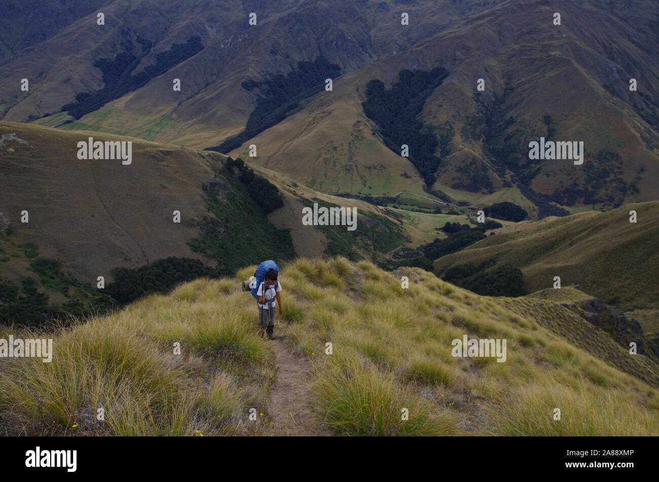 Thai female backpacker Te Araroa Trail. Motatapu Alpine Track. South ...