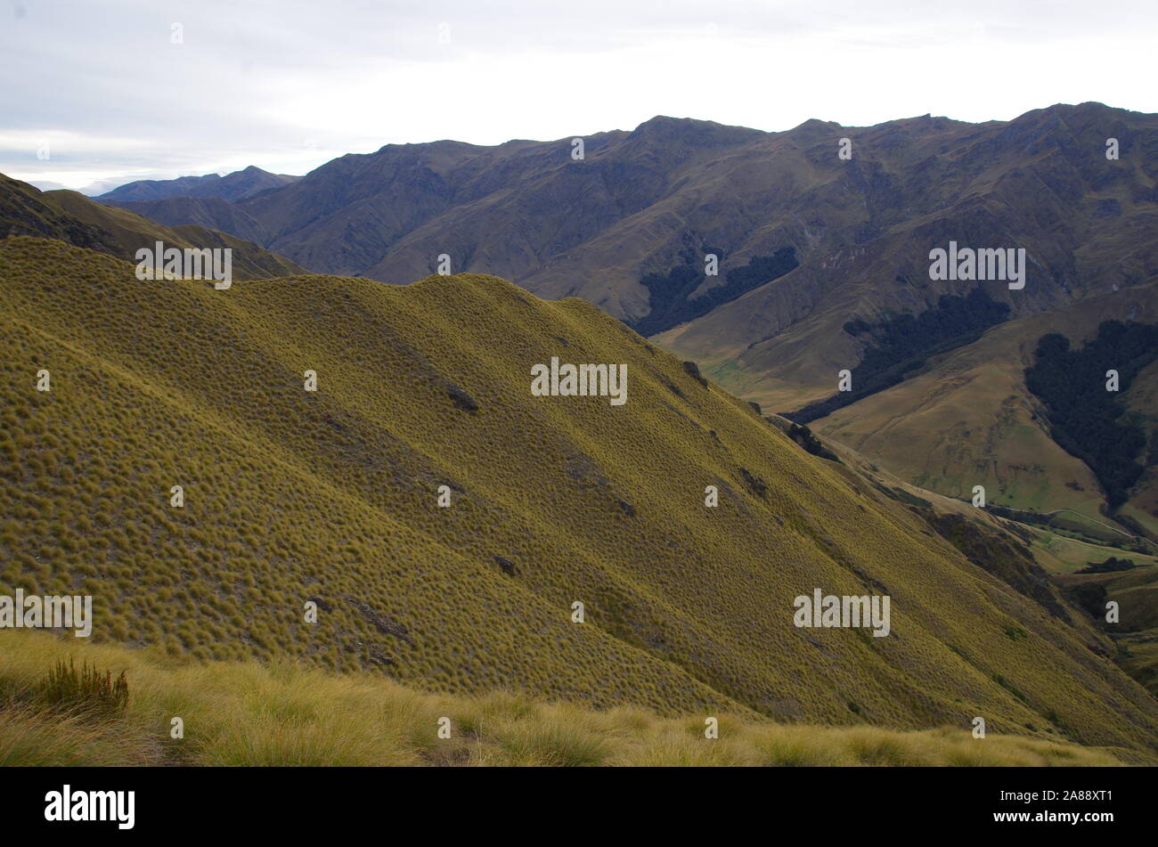 Te Araroa Trail. Motatapu Alpine Track. South Island. New Zealand Stock ...