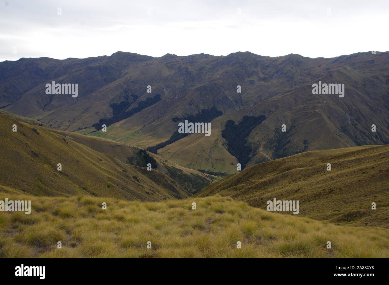 Te Araroa Trail. Motatapu Alpine Track. South Island. New Zealand Stock ...